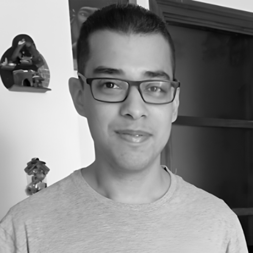 David Leandro Medina Soloza, Desarrollador Web | WordPress