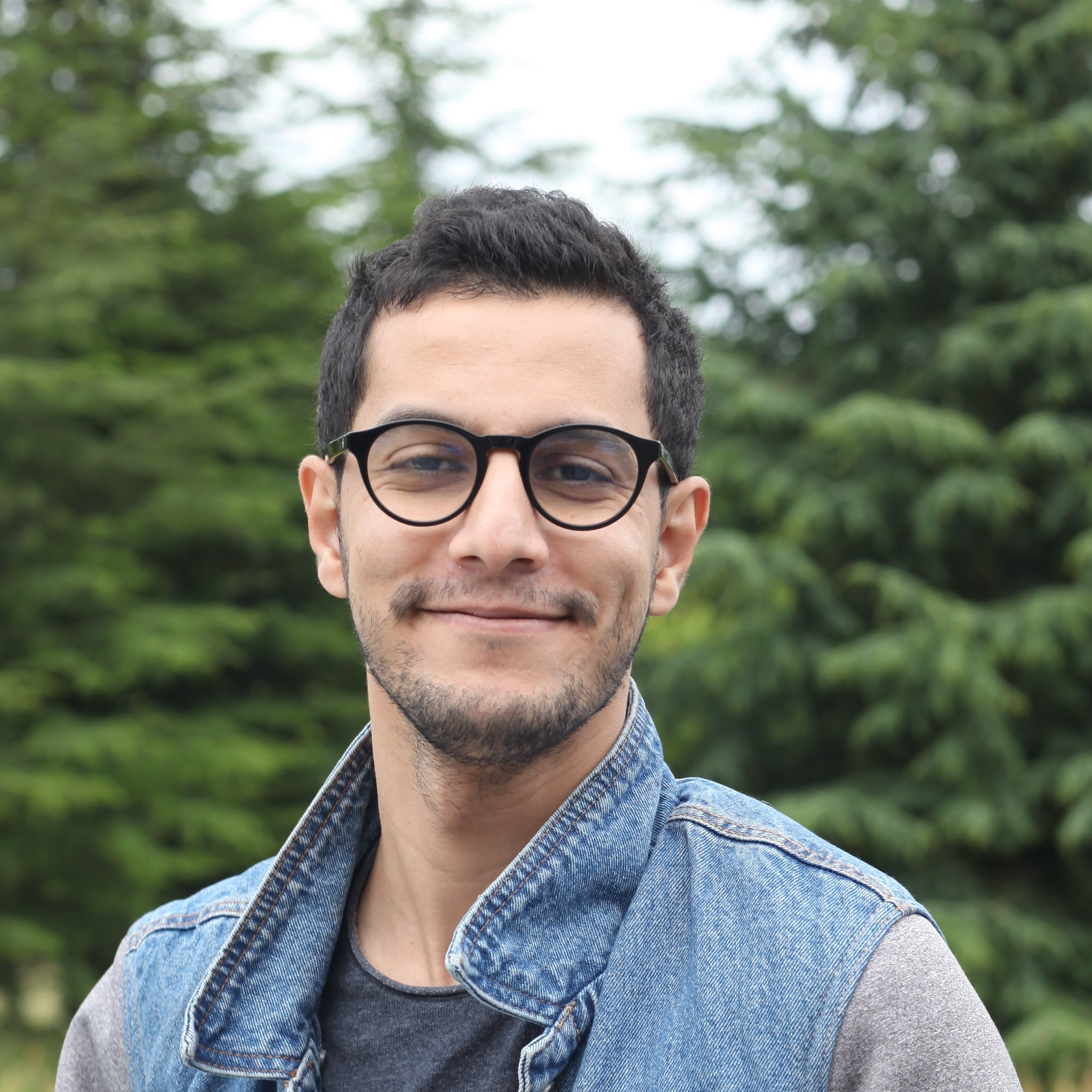 Salah Bennar, Consultant AMOA - IT Business analyst