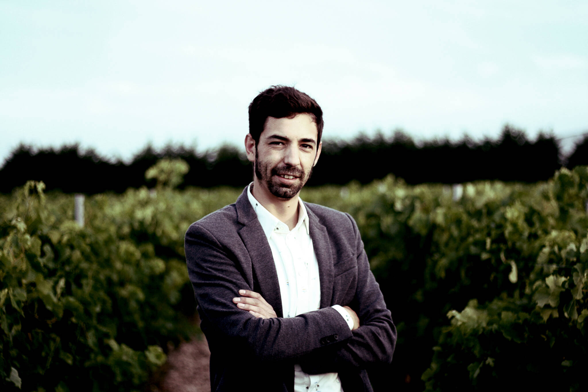 Javier Sesma, 🏻 Diseño gráfico | 🎨 Direccción de arte